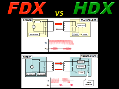 FDX vs HDX